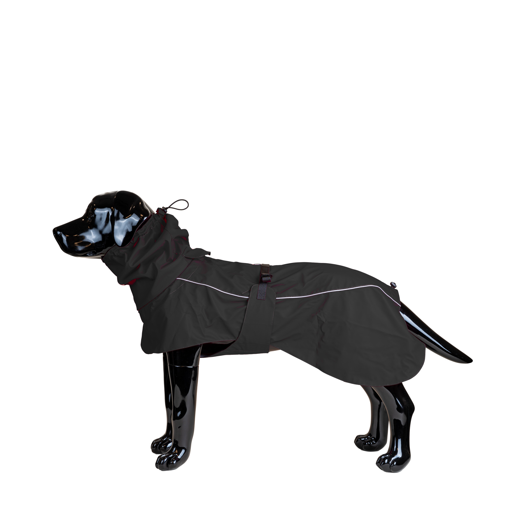 Osta Drop Sadetakki Musta koirallesi | Tinybuddy