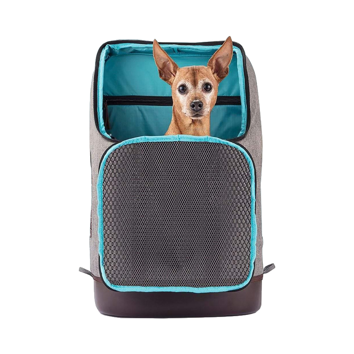 Osta Kurgo Reppu koirallesi | Tinybuddy